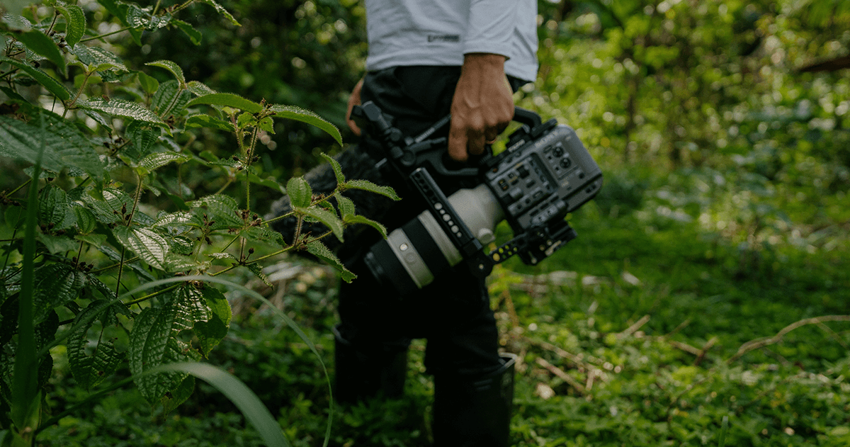 Latest News from Courageous Land - Agroforestry and Sustainability