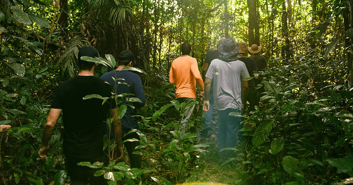 Work with Us at Courageous Land - Join Our Agroforestry Team